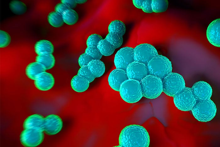 VHA initiative reduces MRSA in veterans' living center | HFM Magazine